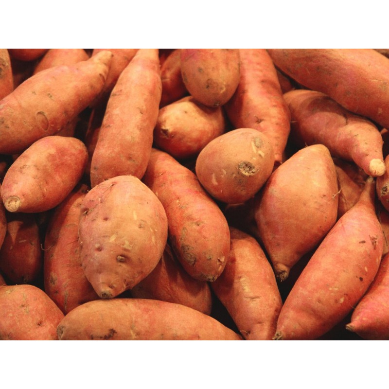 Composez votre panier ici